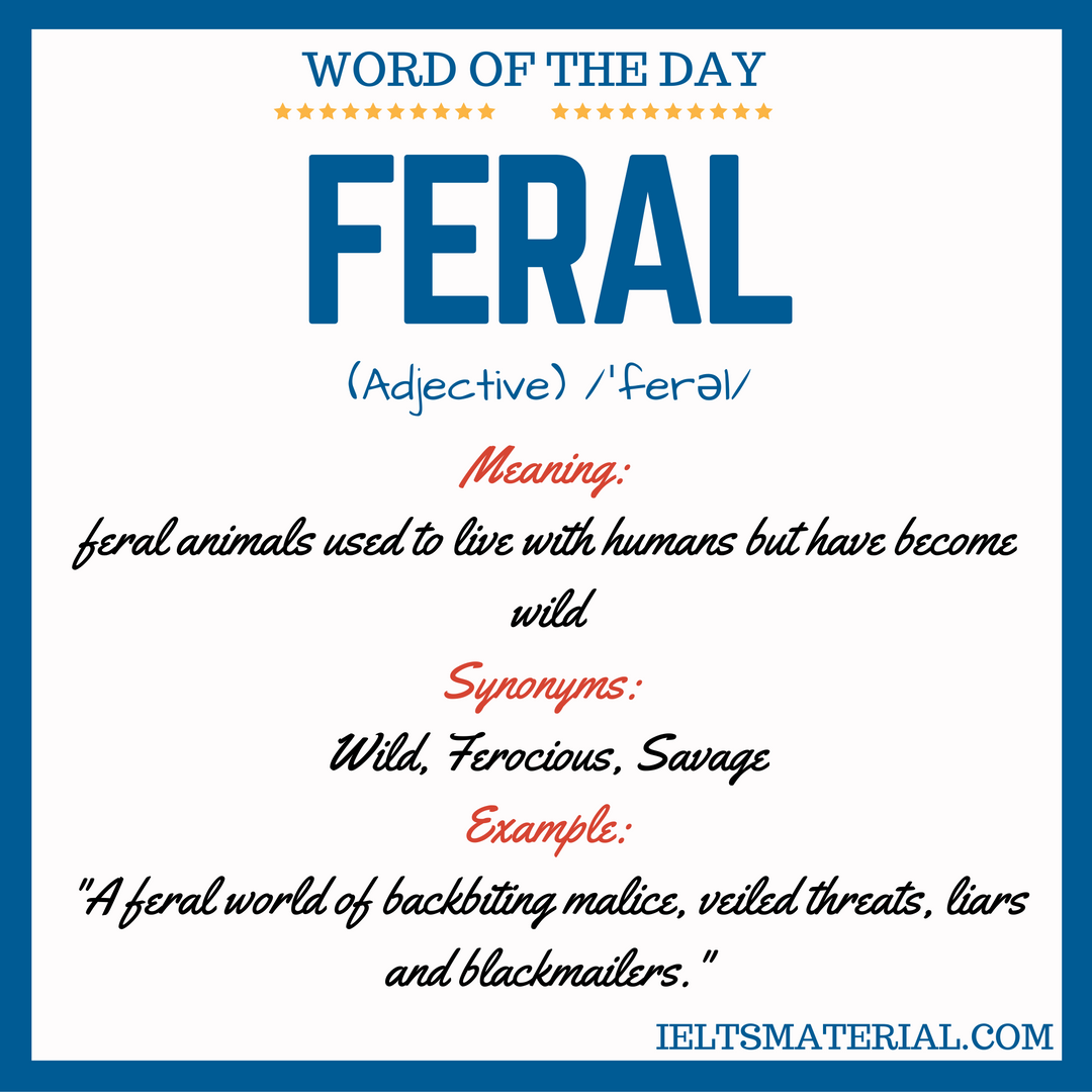 Underestimate Word Of The Day For Ielts Word Of The
