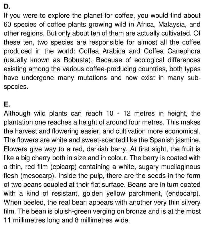 IELTS Academic Reading ‘The Story of Coffee’ Answers | IELTSMaterial.com
