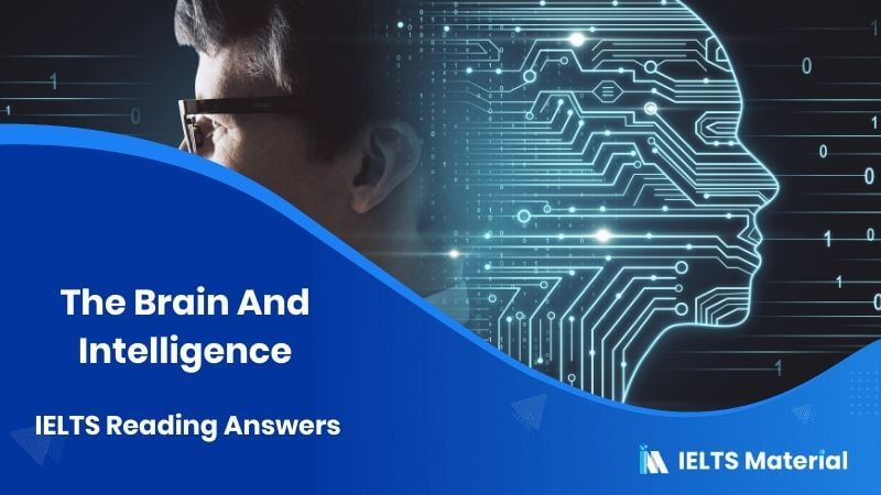 The Brain And Intelligence - IELTS Reading Answers