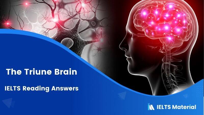 The Triune Brain – IELTS Reading Answers | IELTSMaterial.com