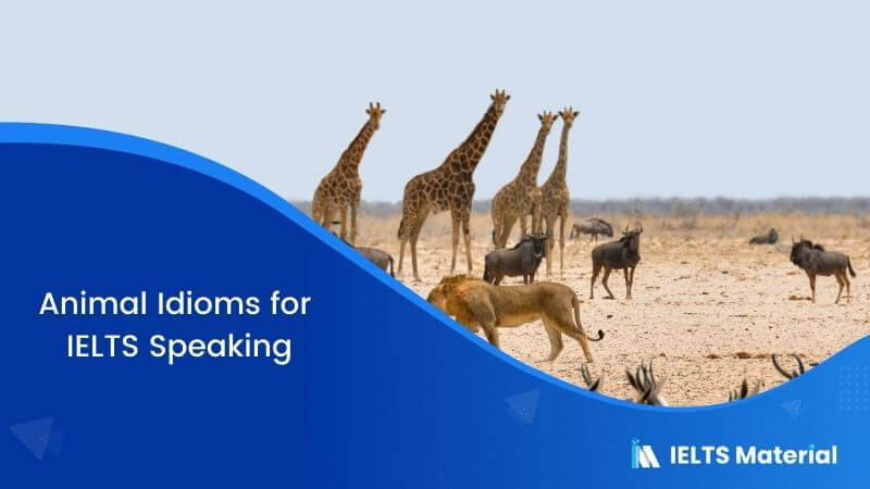 Animal Idioms for IELTS Speaking - IELTS Materials and Resources, Get ...