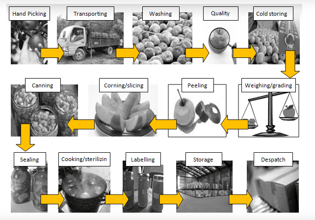 Writing Task 1 Diagram Process - Design Talk