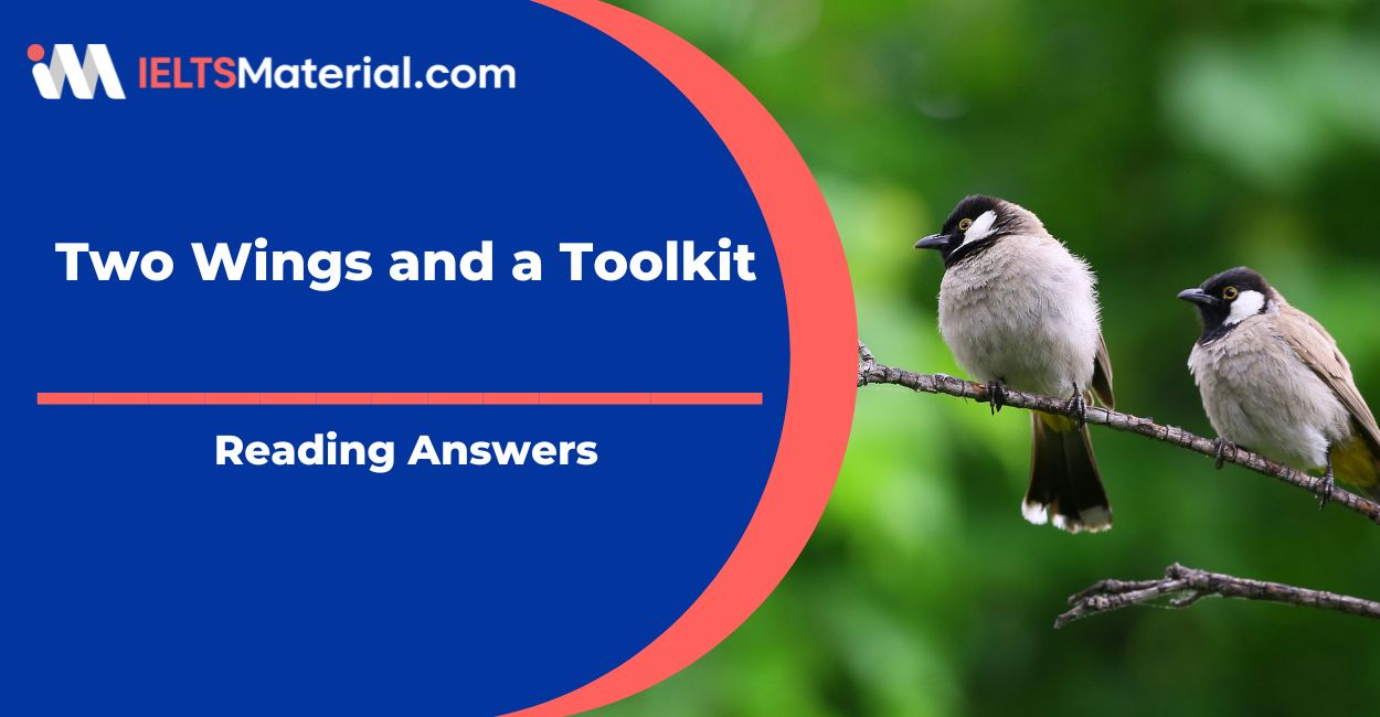 Two Wings and a Toolkit Reading Answers | IELTSMaterial.com